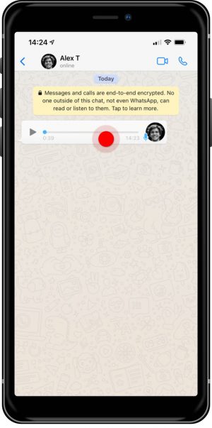 WhatsApp voice messages into text | Audiotype WhatsApp voice messages into text | Audiotype
